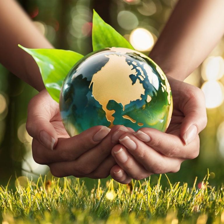 Profesional New Consult - Profesional New Consult | Cursuri autorizate ...